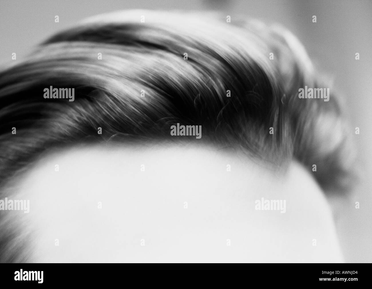 Animal forehead Black and White Stock Photos & Images - Alamy