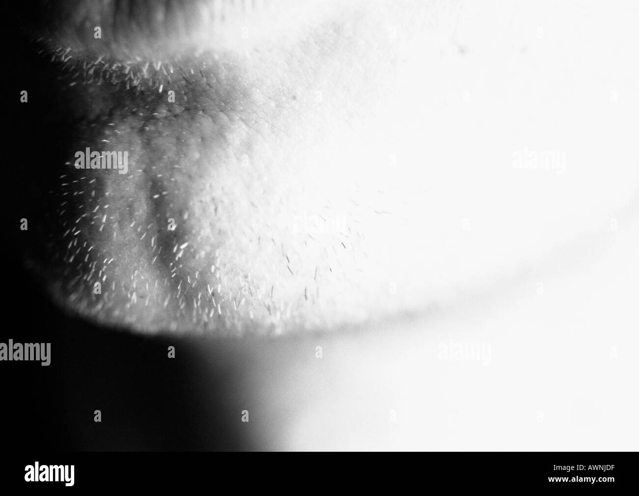 Stubbled hi-res stock photography and images - Alamy