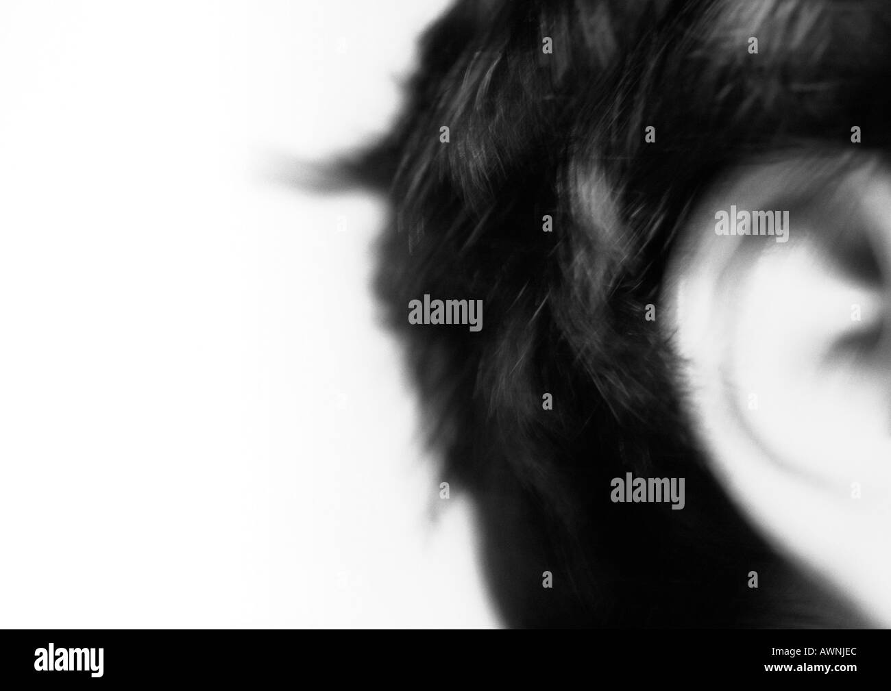 Man's ear, close-up, blurred black and white Stock Photo - Alamy