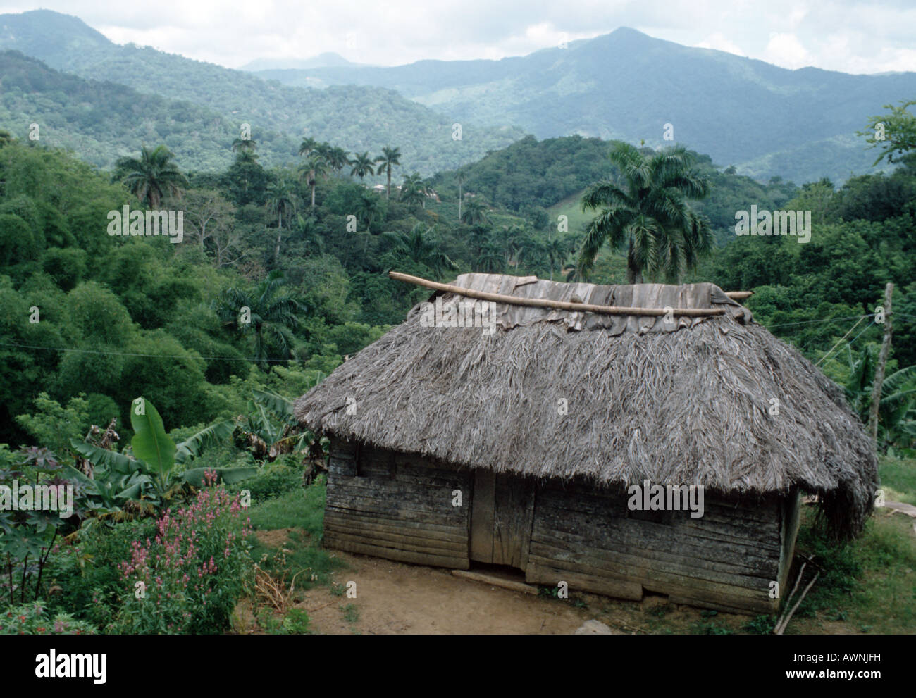 Bohio High Resolution Stock Photography and Images - Alamy