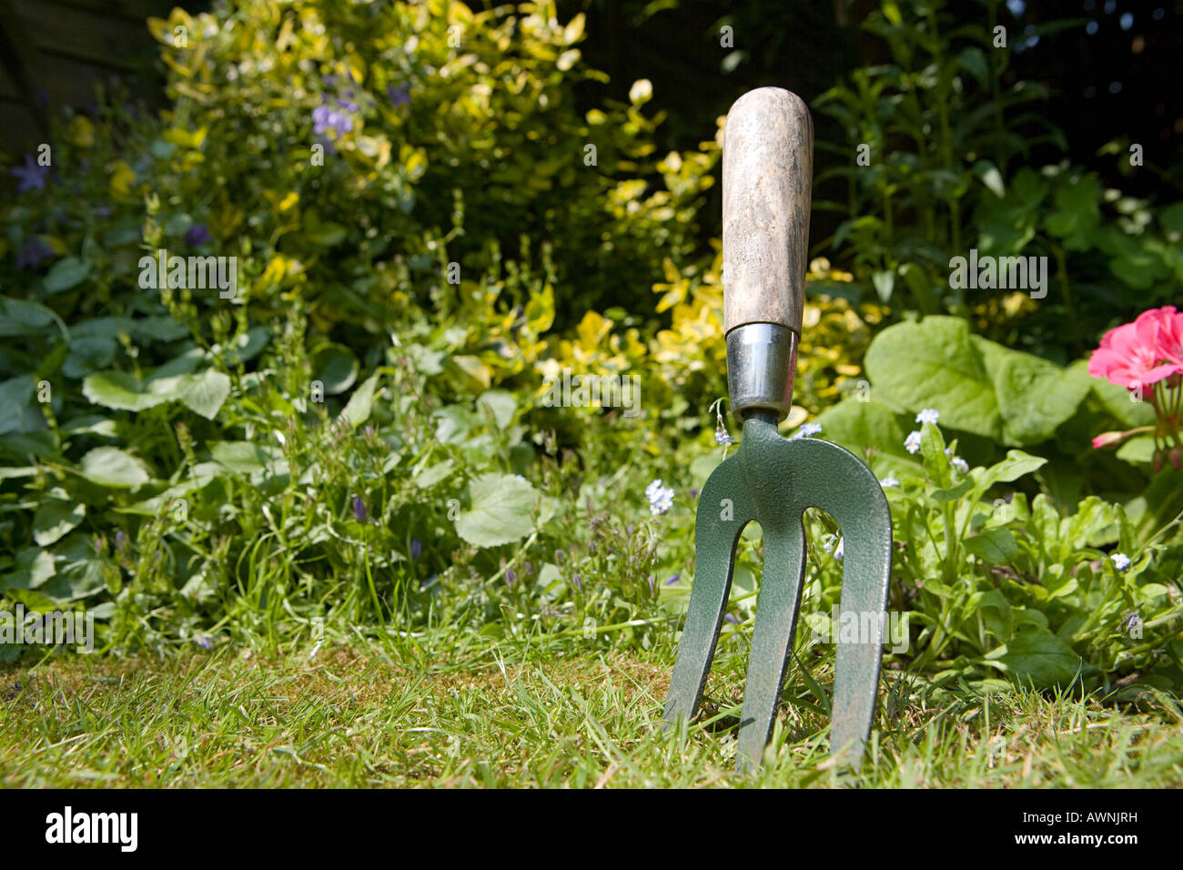 Gardening fork grass hi-res stock photography and images - Alamy