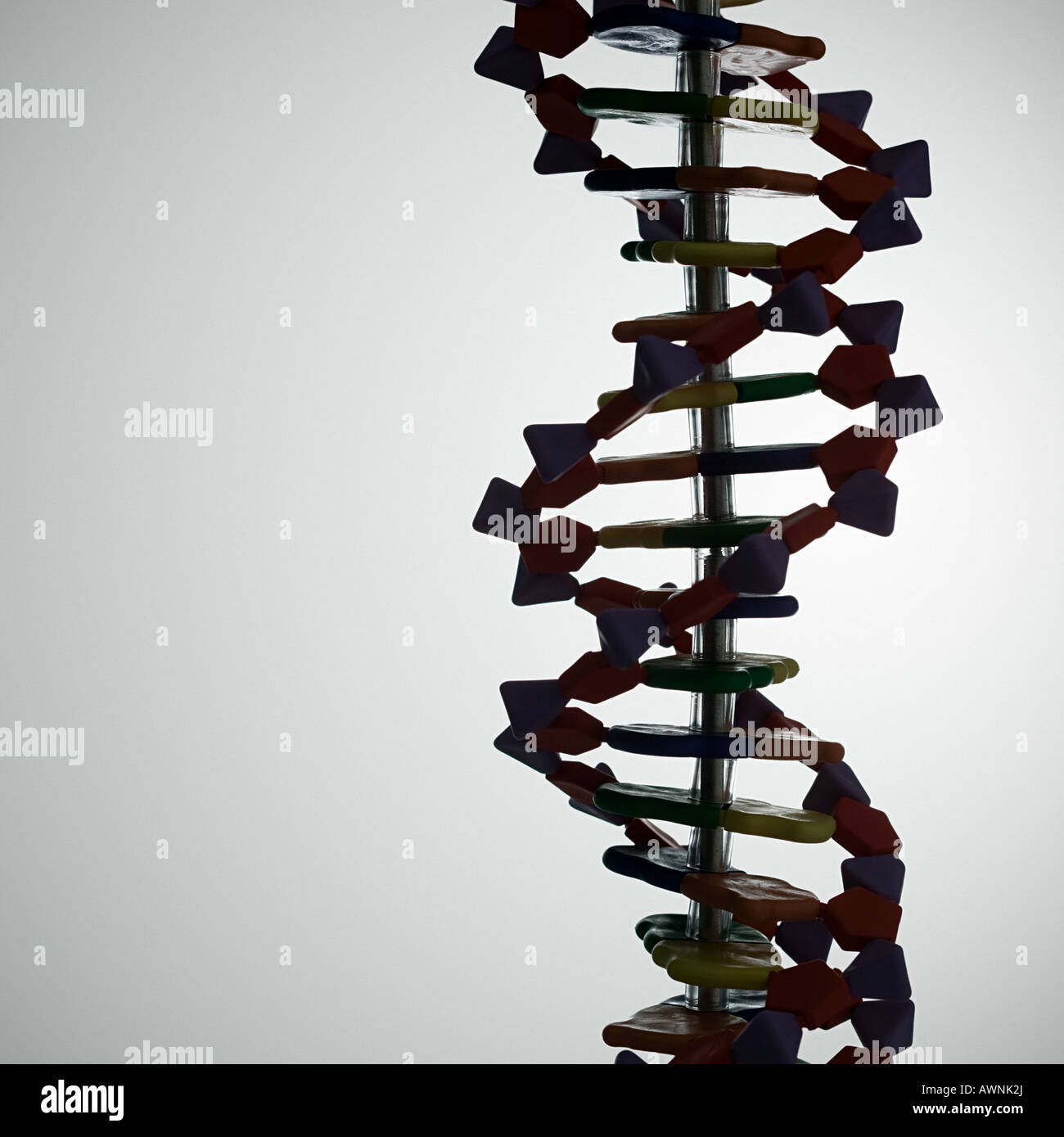 A model of dna Stock Photo - Alamy