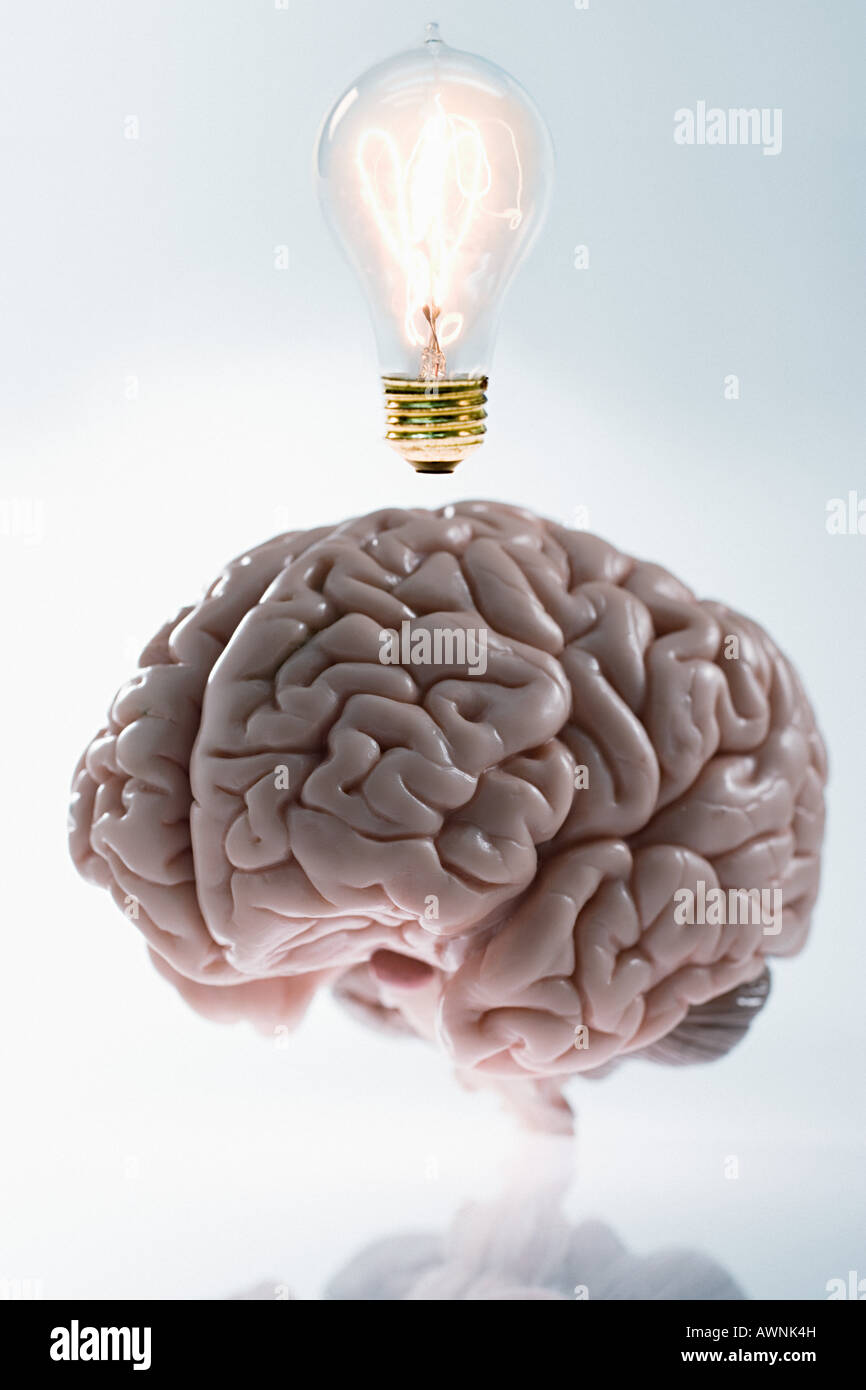 A brain having an idea Stock Photo - Alamy