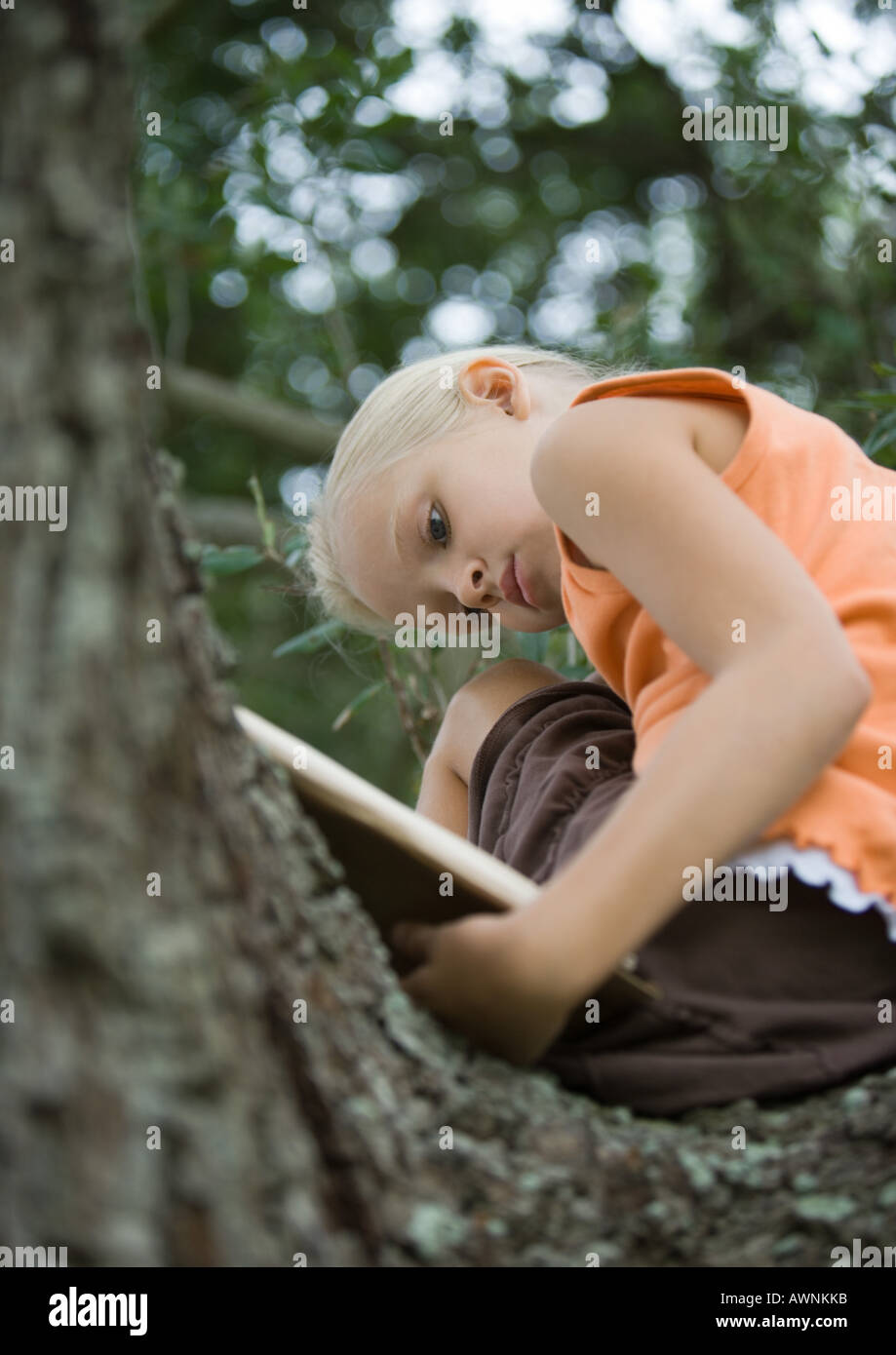 Girl reading book in tree Stock Photo - Alamy