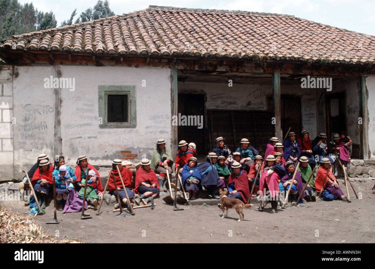 ECUADOR NATIVE QUECHUA WOMEN WORKING THE LAND IN THE REGION OF ...