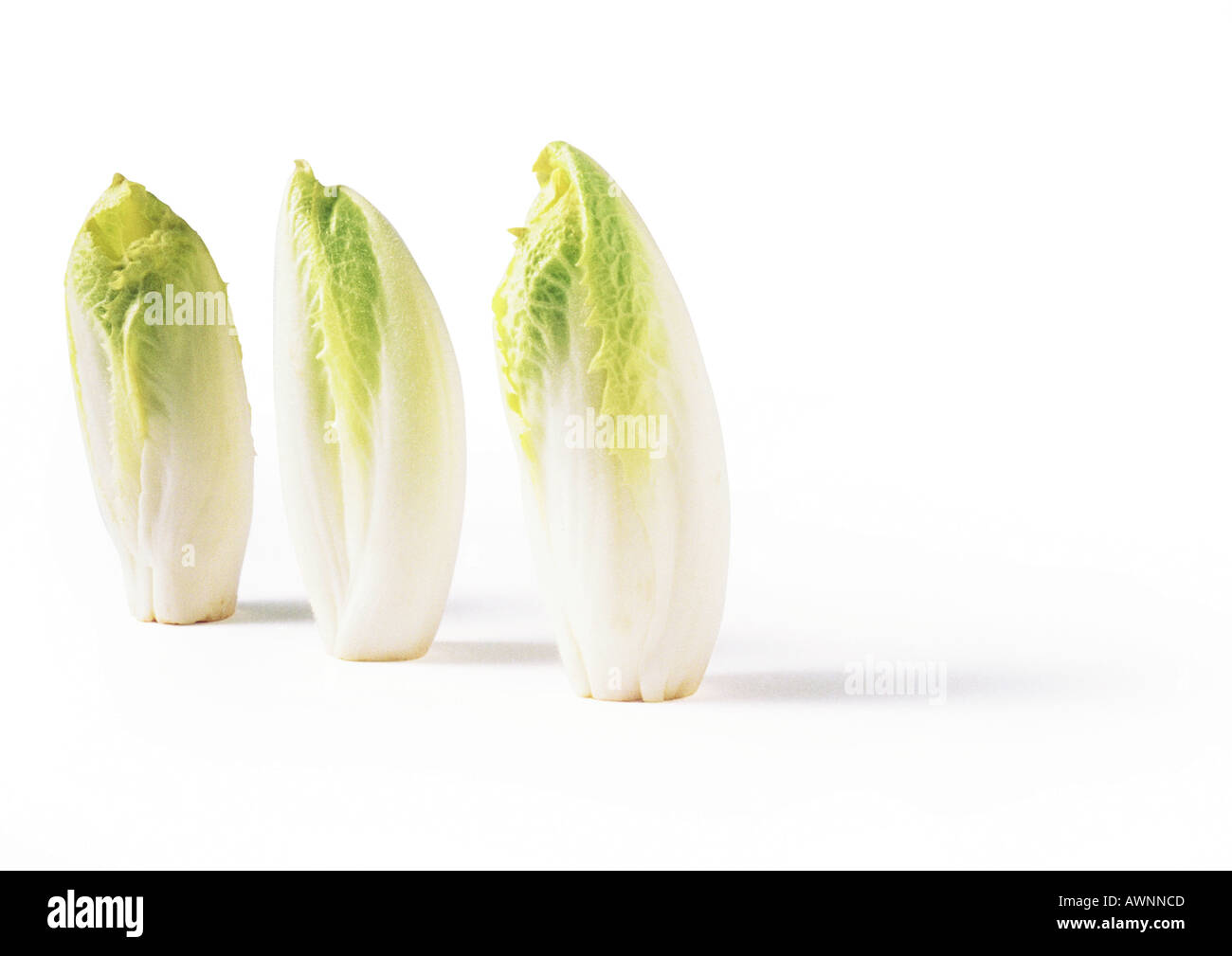 Three endives hi-res stock photography and images - Alamy