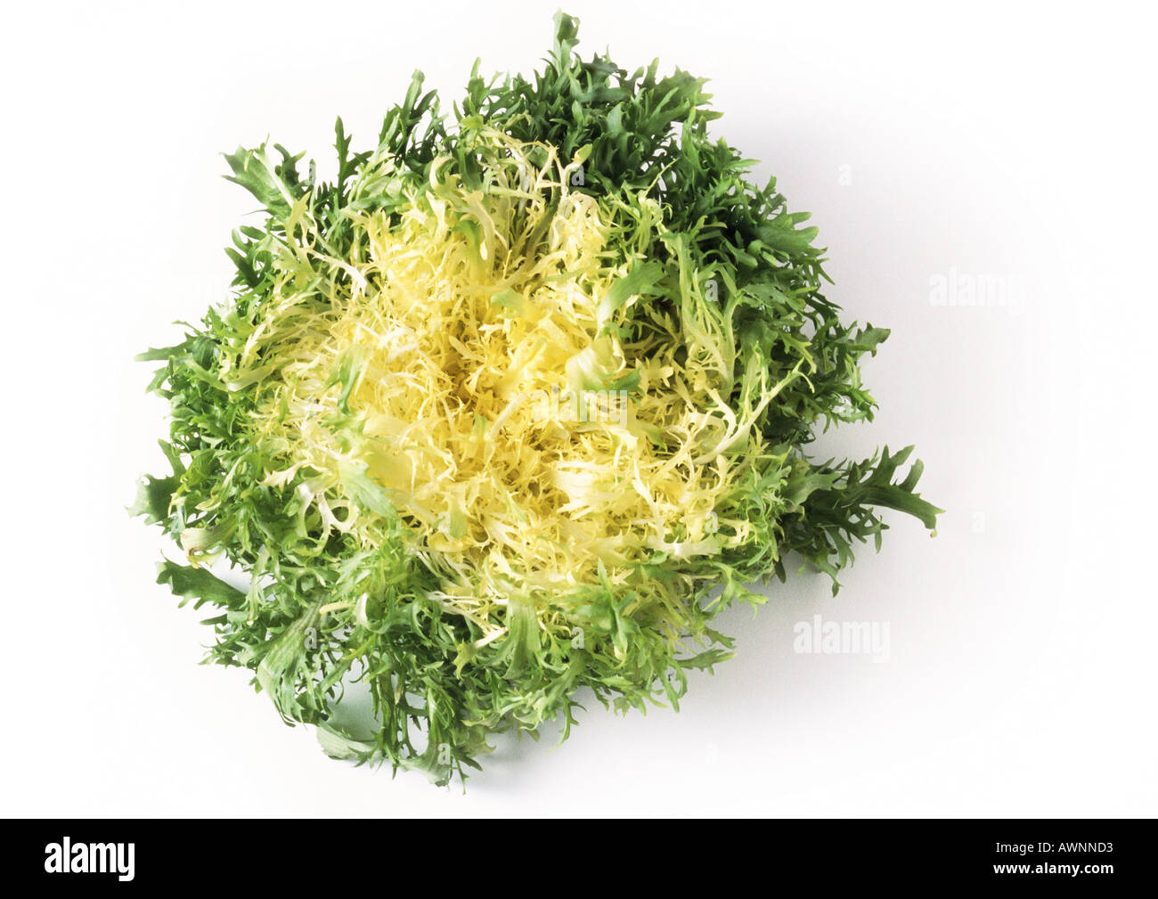 Frisee hi-res stock photography and images - Alamy