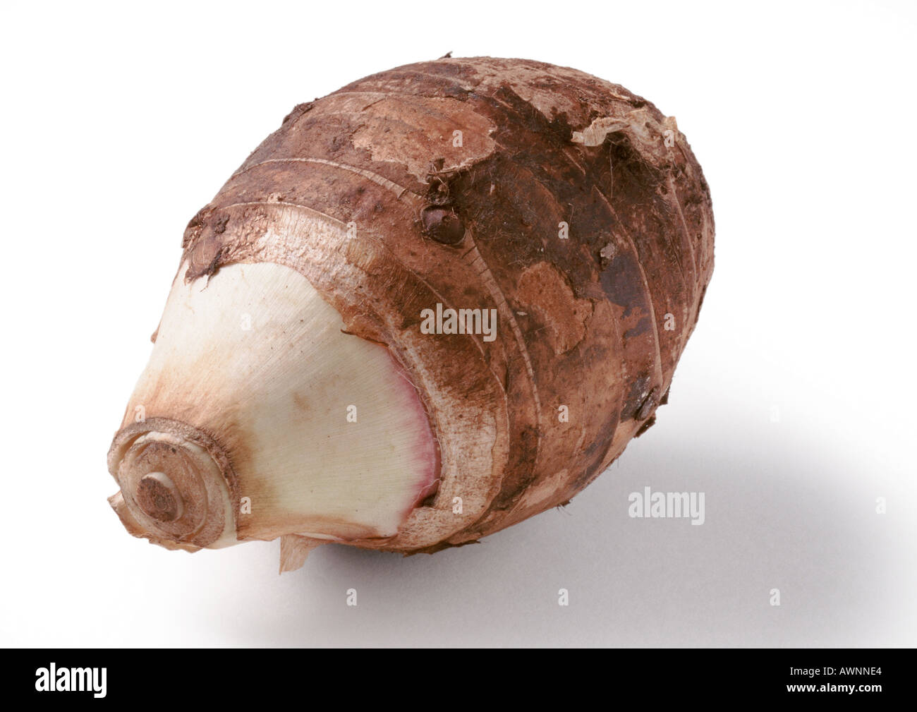 Image of fresh taro hi-res stock photography and images - Alamy