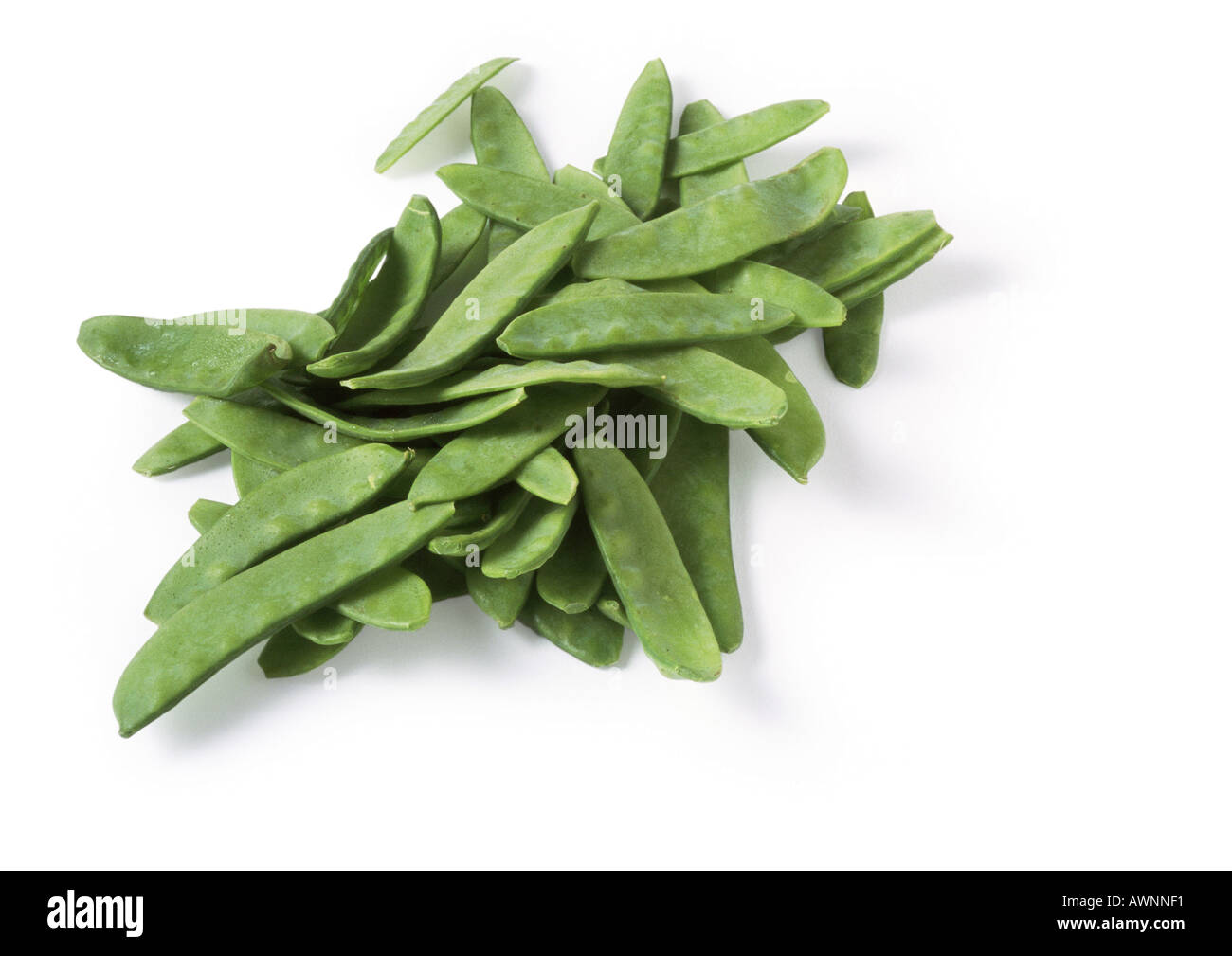 Without snow Cut Out Stock Images & Pictures - Alamy