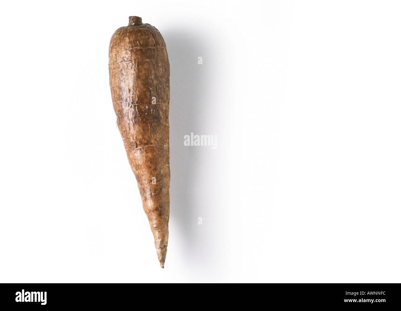 Manioc root, full length Stock Photo - Alamy