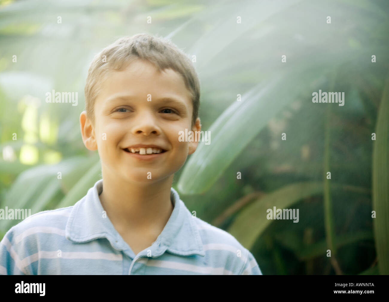 Boy standing in mist, smiling Stock Photo - Alamy