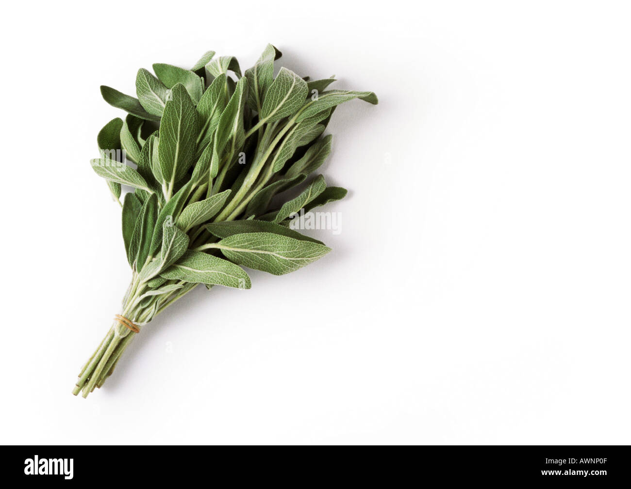 Sage bundles hi-res stock photography and images - Alamy