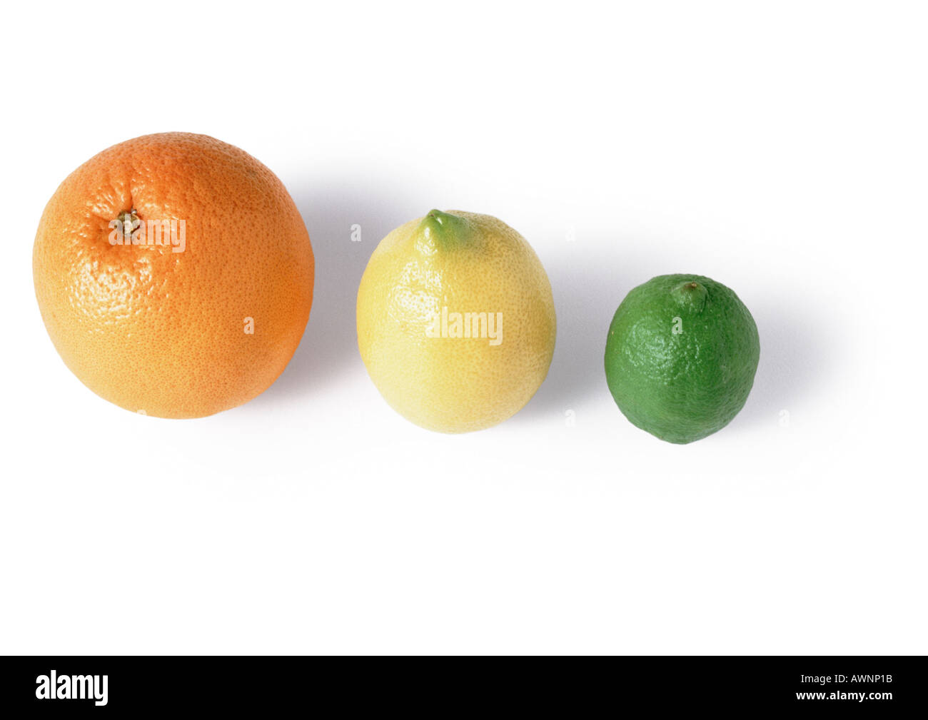Citrus colour images Cut Out Stock Images & Pictures - Alamy
