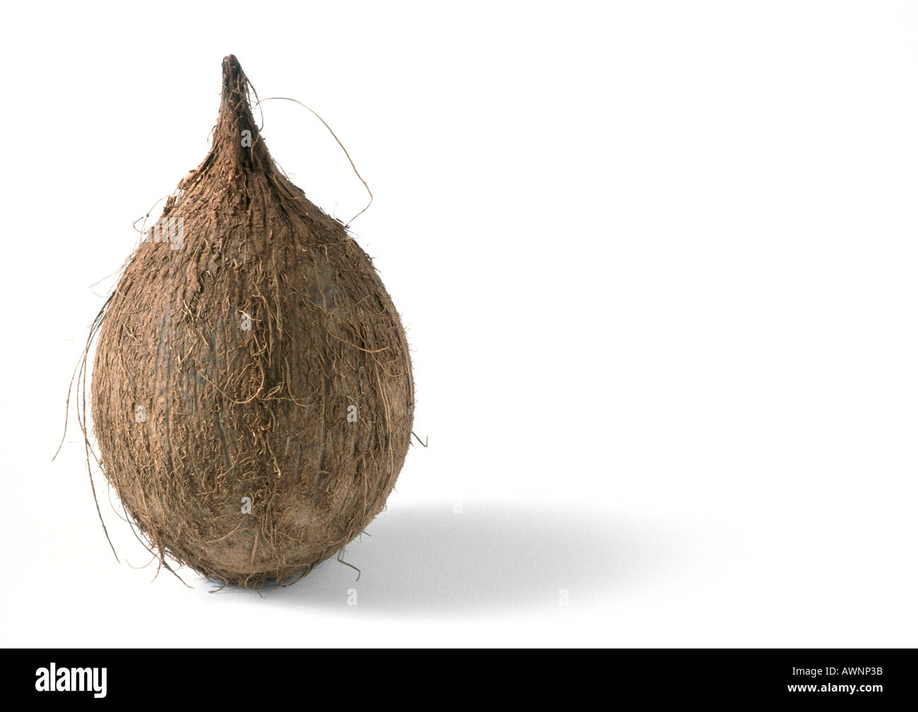 Empty coconuts Cut Out Stock Images & Pictures - Alamy