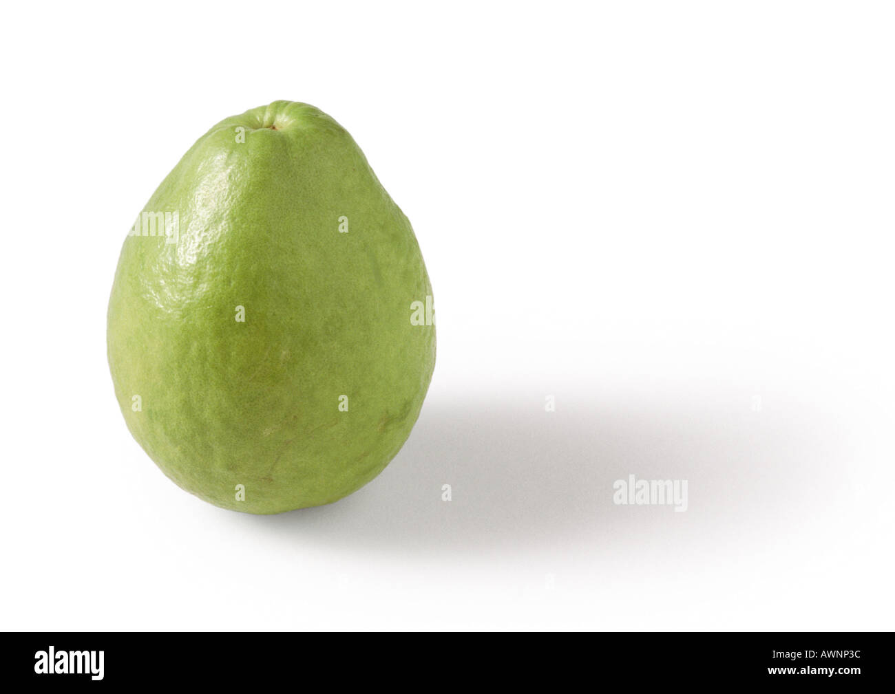 Tropical Guava High Resolution Stock Photography and Images - Alamy
