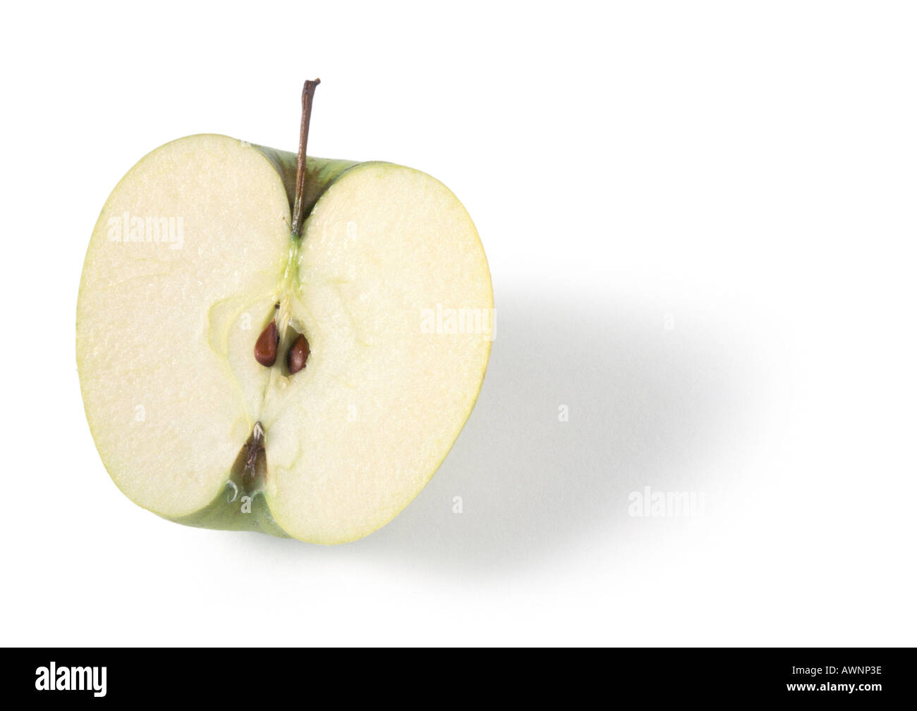 Half length image Cut Out Stock Images & Pictures - Alamy