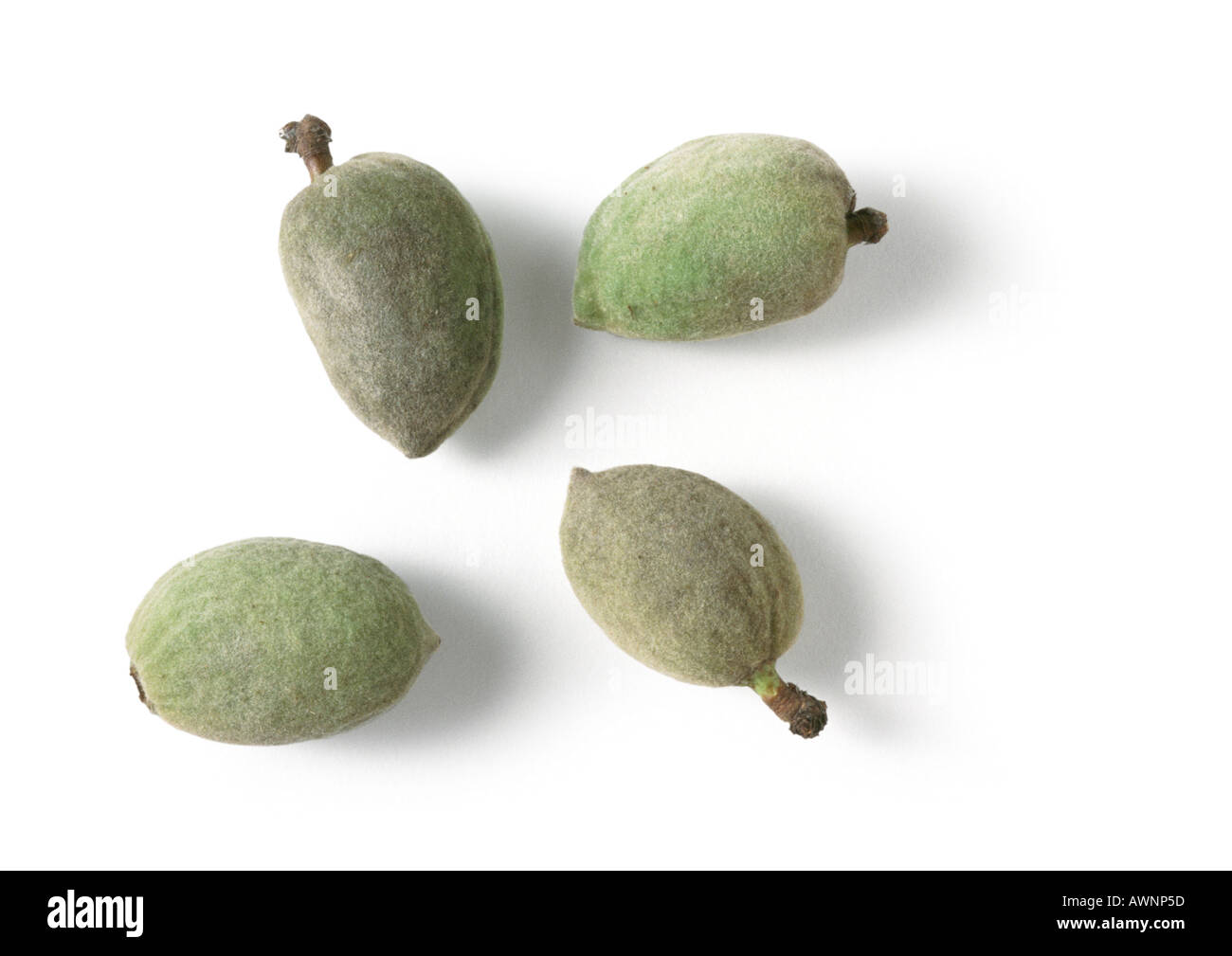 Almond fruits images hi-res stock photography and images - Alamy