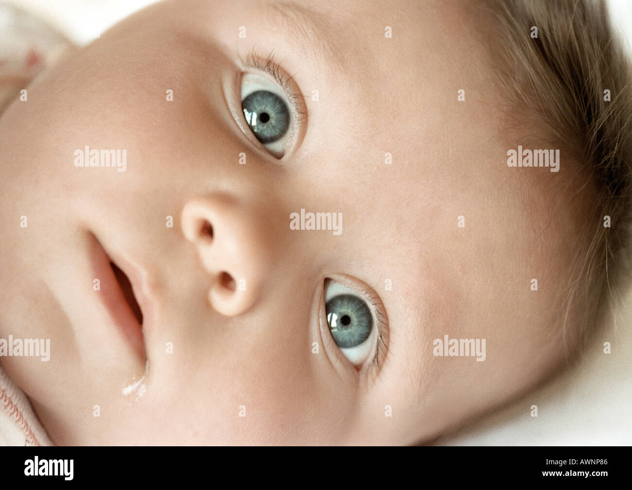 Baby's face, looking at camera, close-up Stock Photo - Alamy