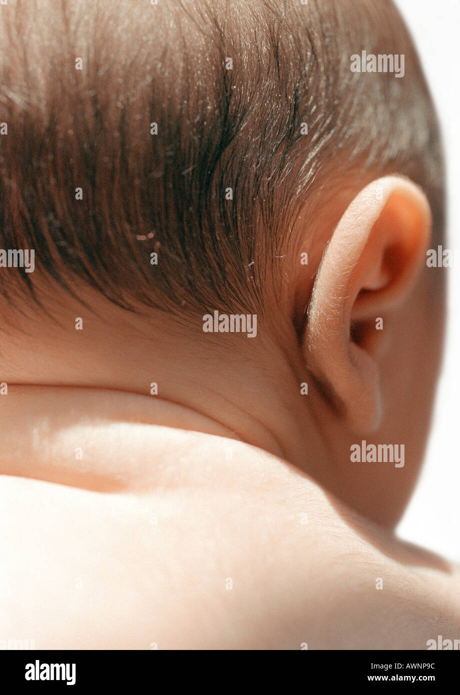 Baby's ear, rear view, close-up Stock Photo - Alamy
