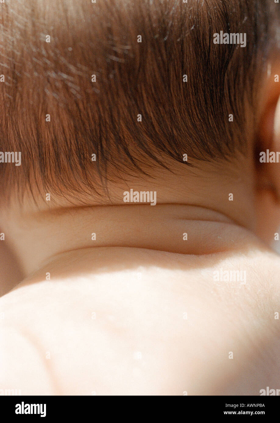 Back of baby's head, close-up Stock Photo - Alamy
