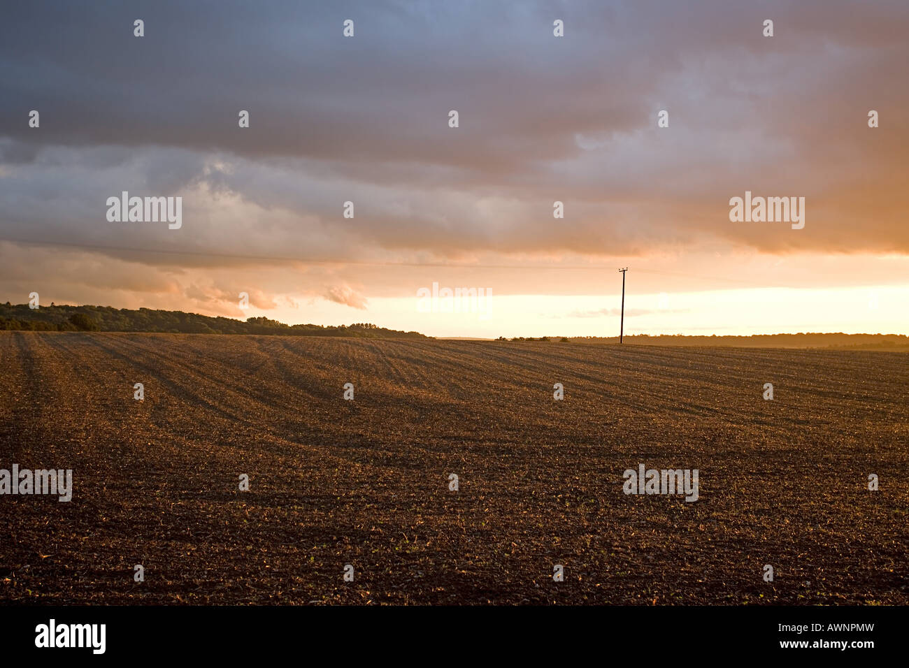 Electrical fields hi-res stock photography and images - Alamy