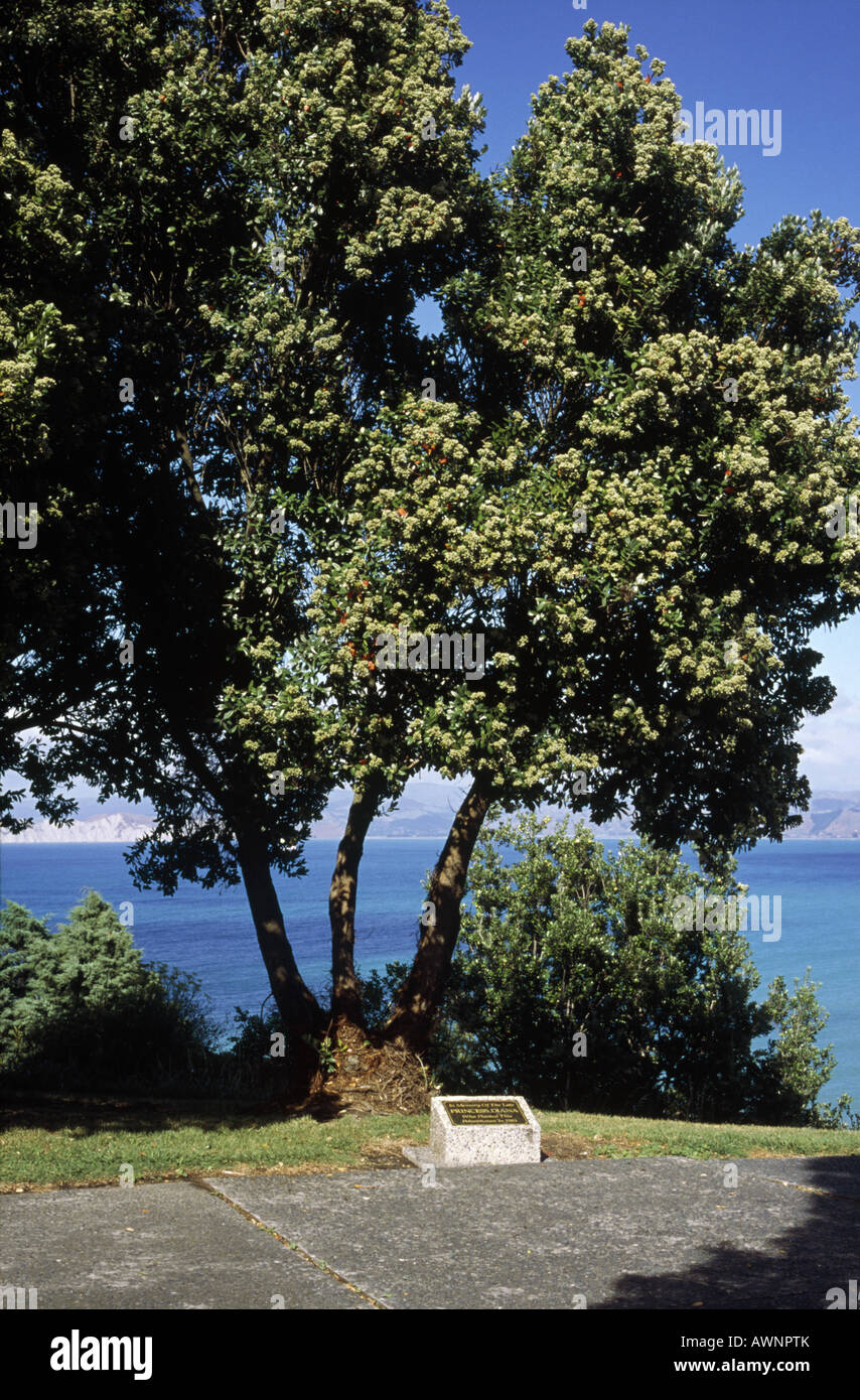 Princess diana new zealand hi-res stock photography and images - Alamy