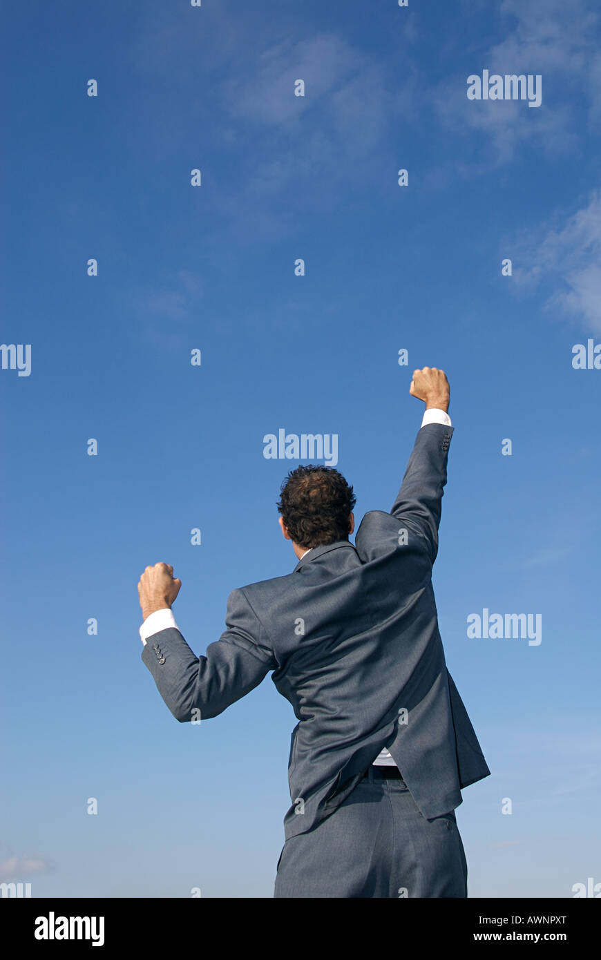 Rear view of a businessman with his arms raised Stock Photo - Alamy