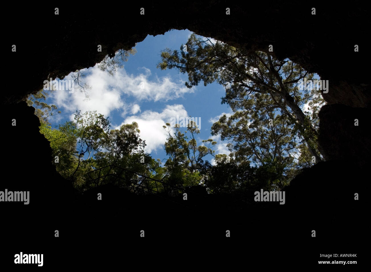 Looking out from the entrance to Lake Cave, a popular tourist cave near ...