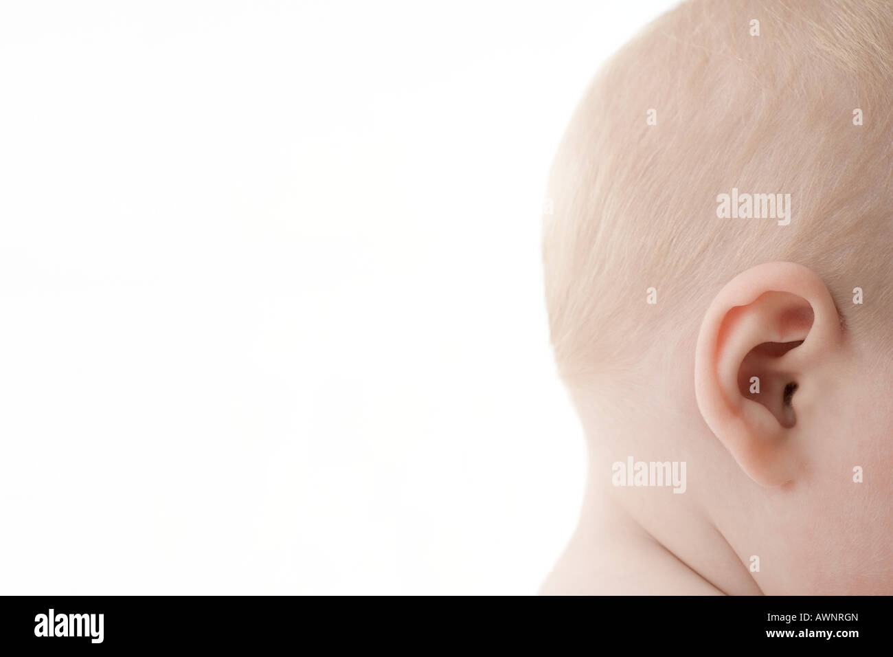 Babys anatomy hi-res stock photography and images - Alamy