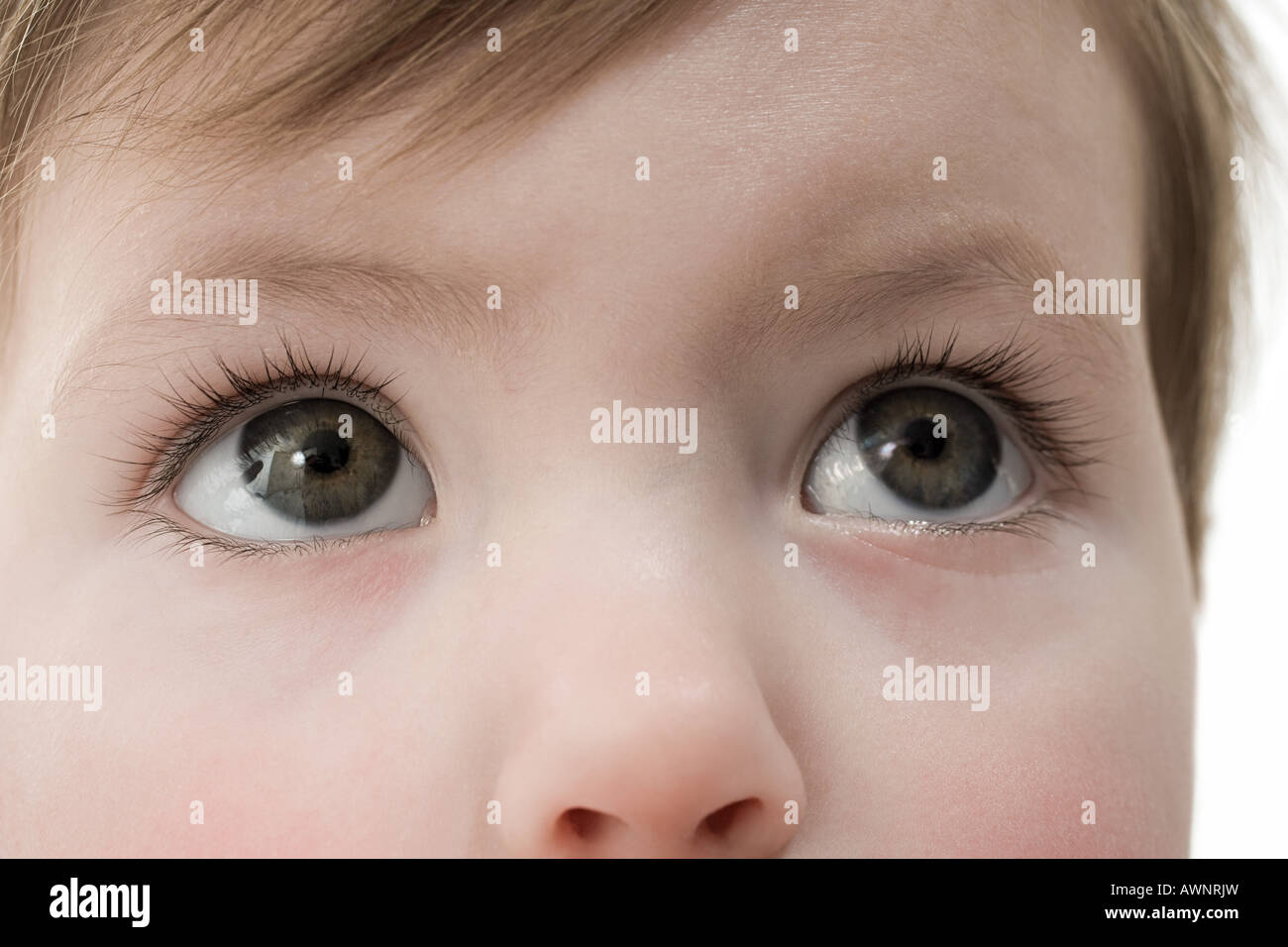 Close up of babys eyes Stock Photo - Alamy