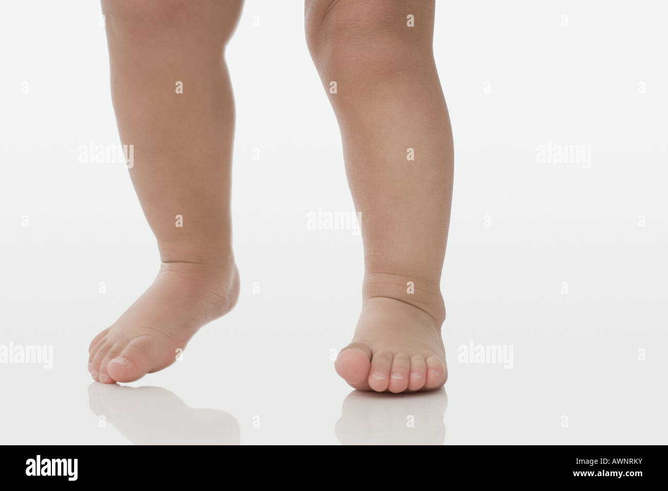 12 legs hi-res stock photography and images - Alamy