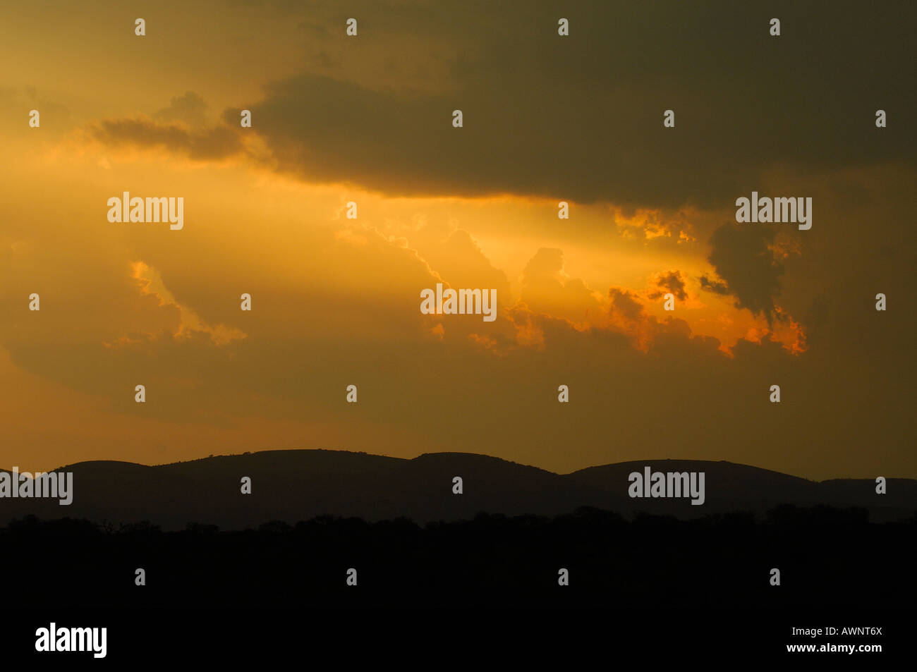 Mkhuzi game reserve hi-res stock photography and images - Alamy