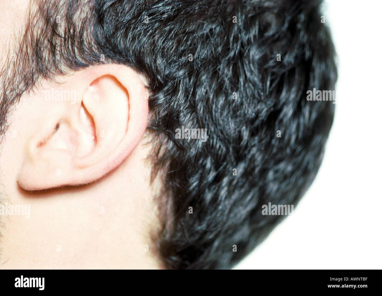 Mans head side view hi-res stock photography and images - Alamy