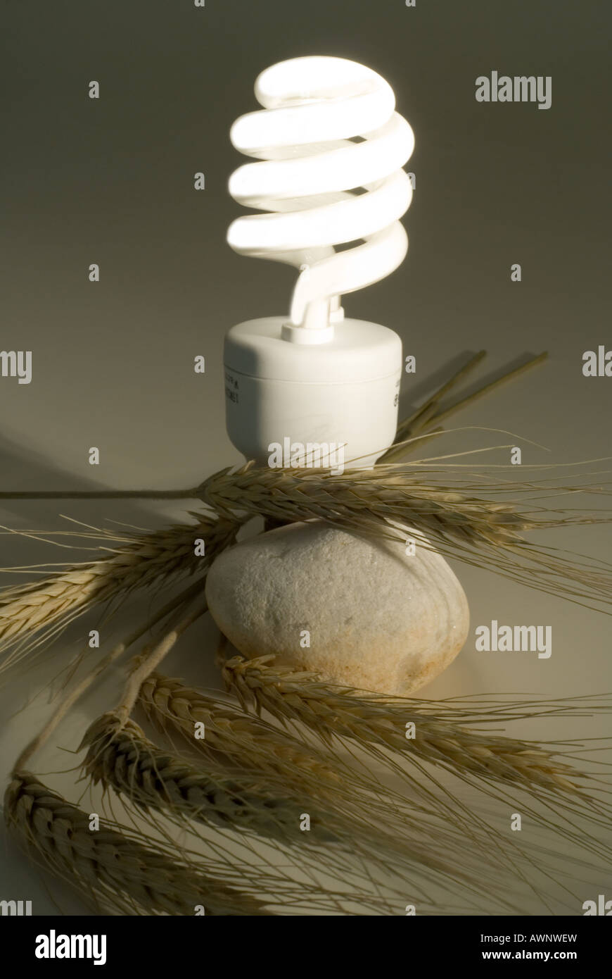 Saving stone hi-res stock photography and images - Alamy