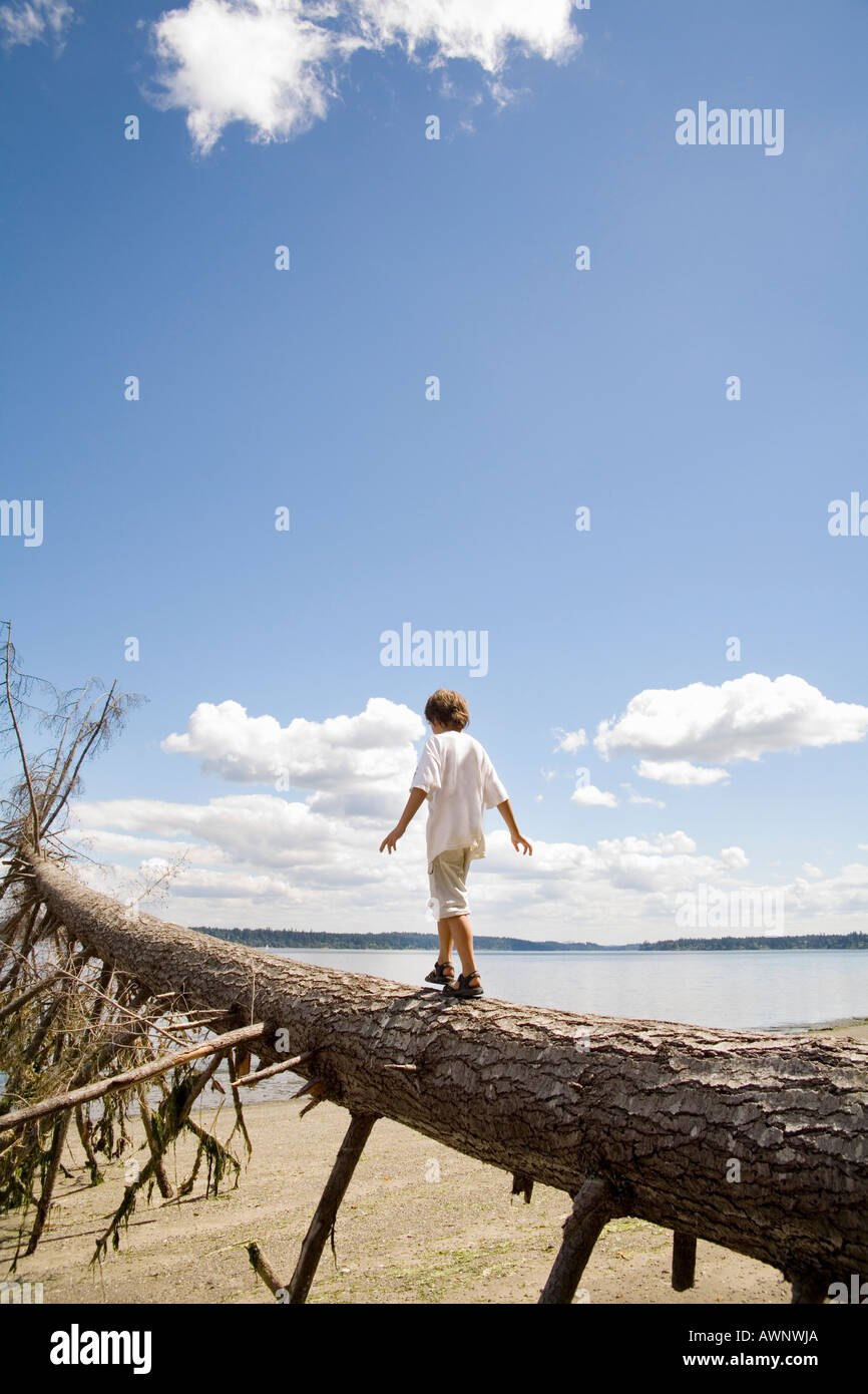 Children balancing on fallen tree hi-res stock photography and images ...