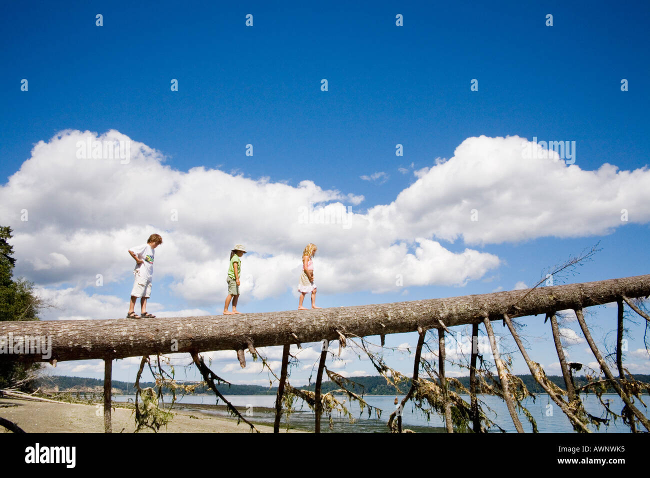Children balancing on fallen tree hi-res stock photography and images ...