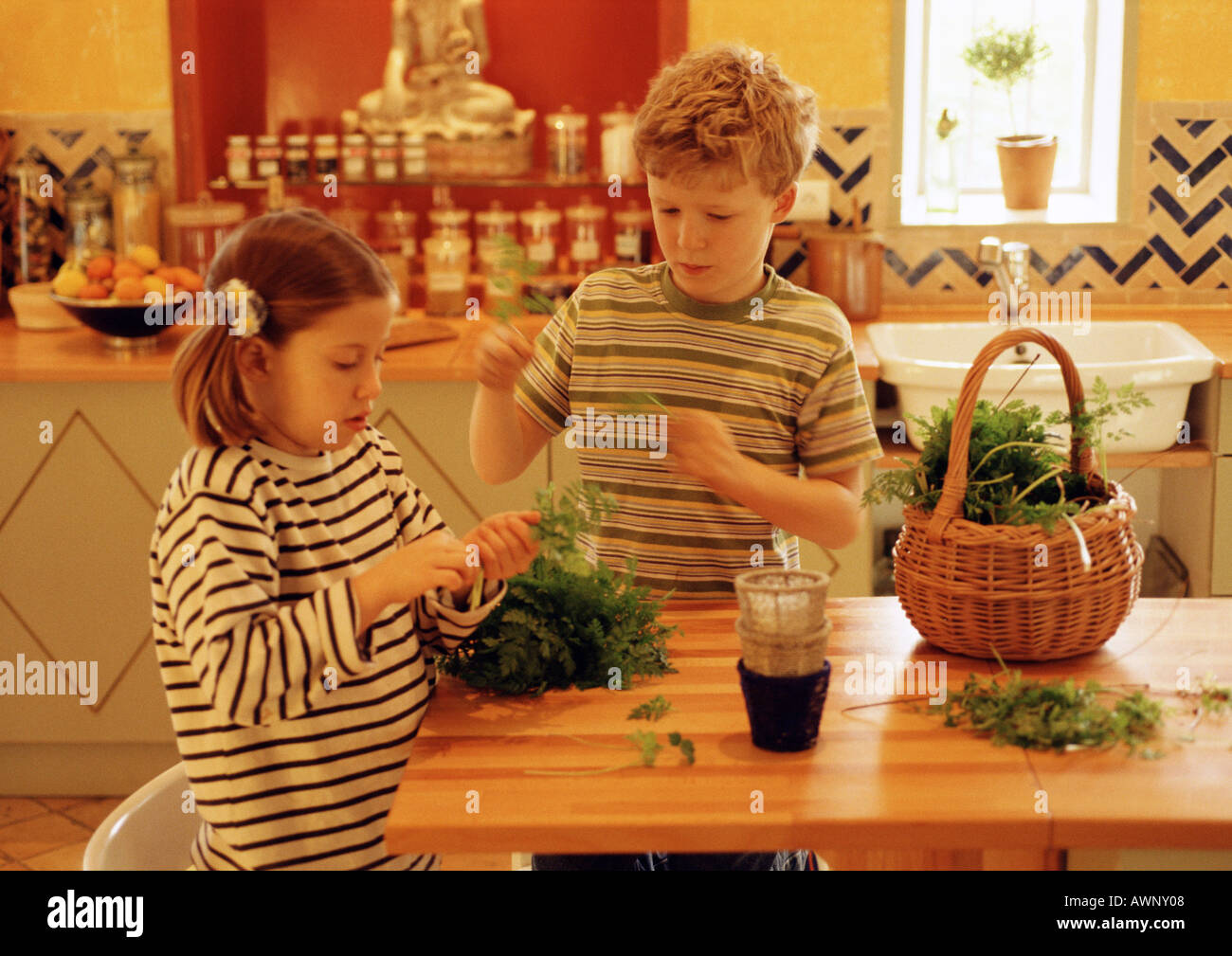 Children in kitchen handling hi-res stock photography and images - Alamy
