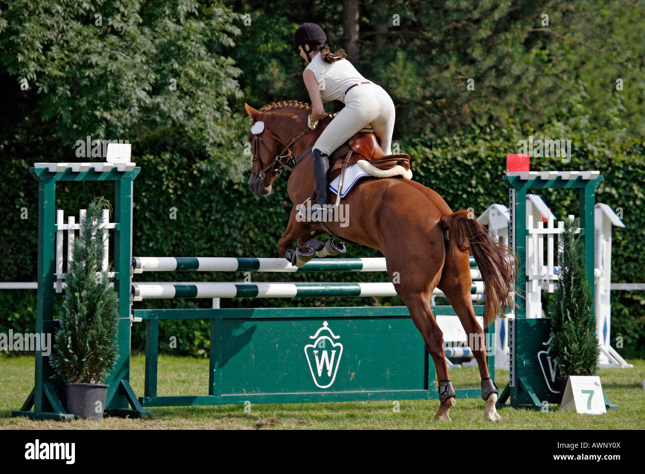 Oxer Jump High Resolution Stock Photography and Images - Alamy