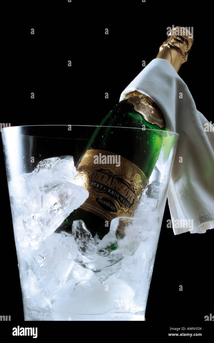 Champagne bottle on ice in champagne cooler Stock Photo - Alamy