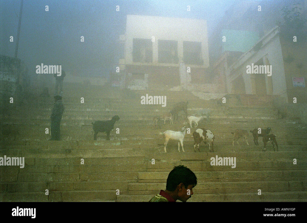 Kedar ghat in a foggy morning, varanasi, benares Stock Photo - Alamy