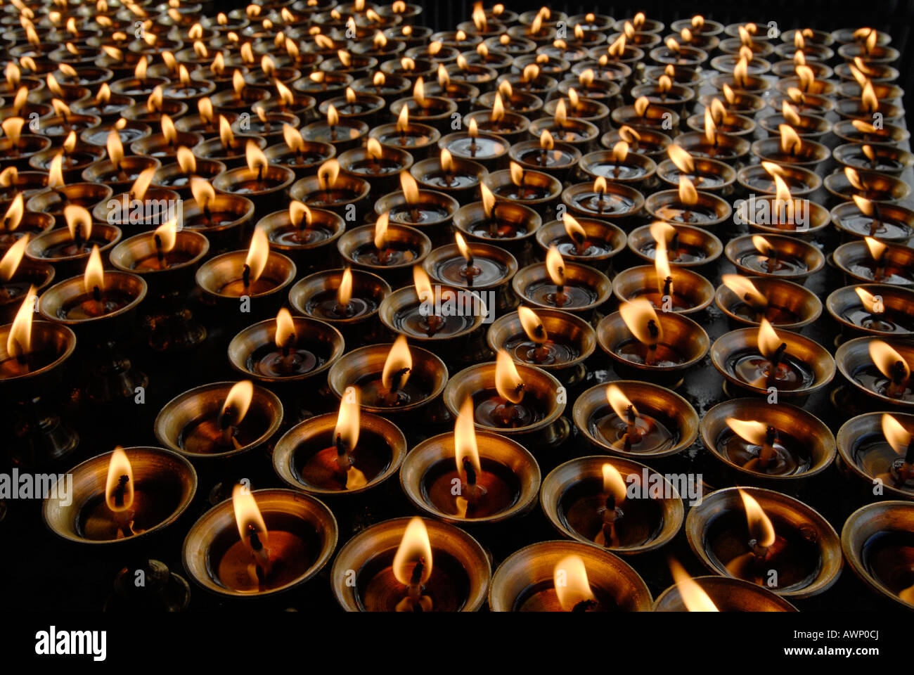 Tibetan butter lamps in a Buddhist monastery, Lhasa, Tibet, China, Asia ...