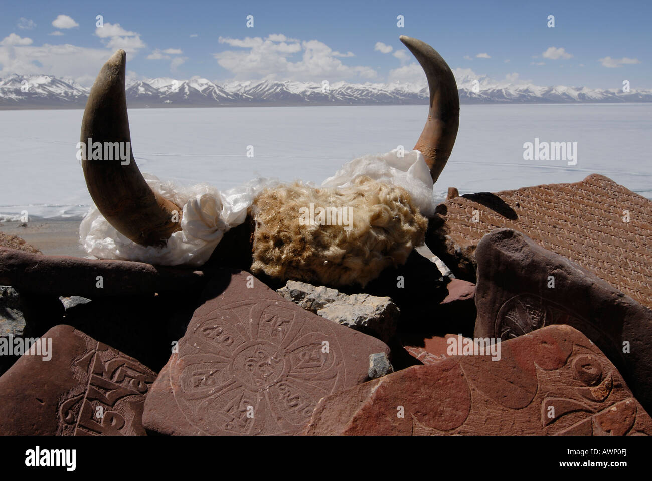 Mani stones and Yak horns laid as offerings in front of Lake Namtso ...