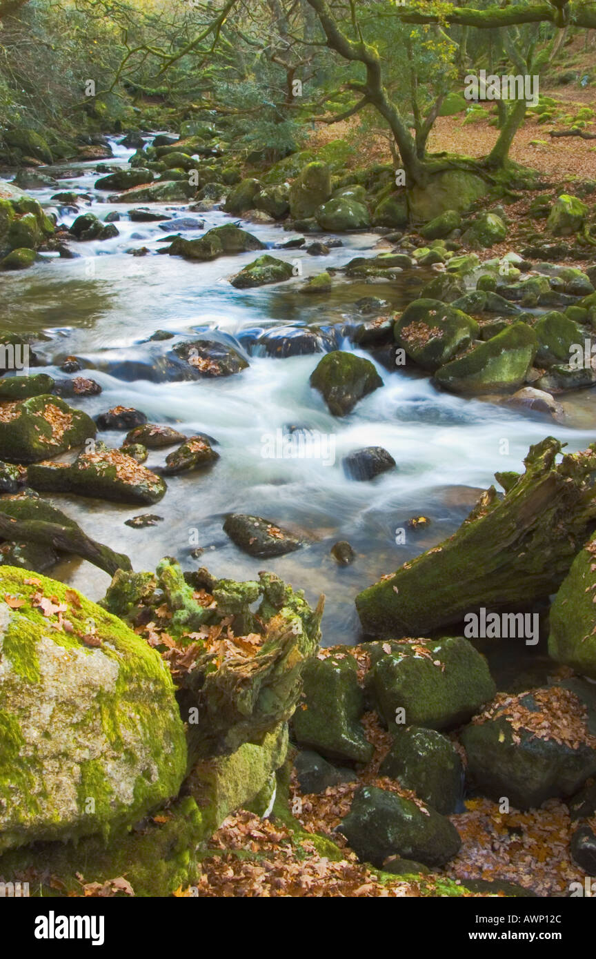 The River Plym Dewerstone Wood Dartmoor National Park Devon UK Stock ...