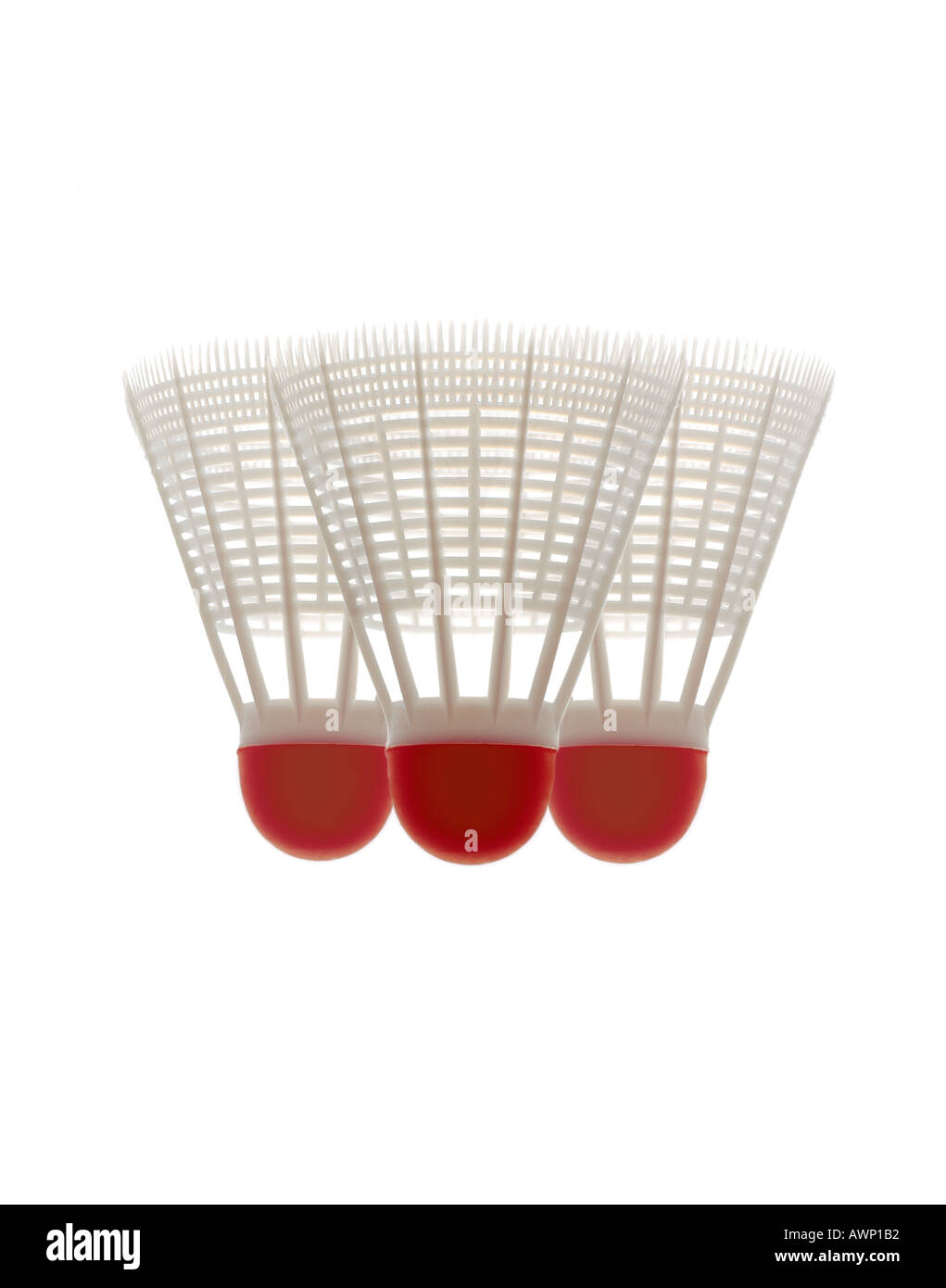 Colour medium format Cut Out Stock Images & Pictures - Alamy