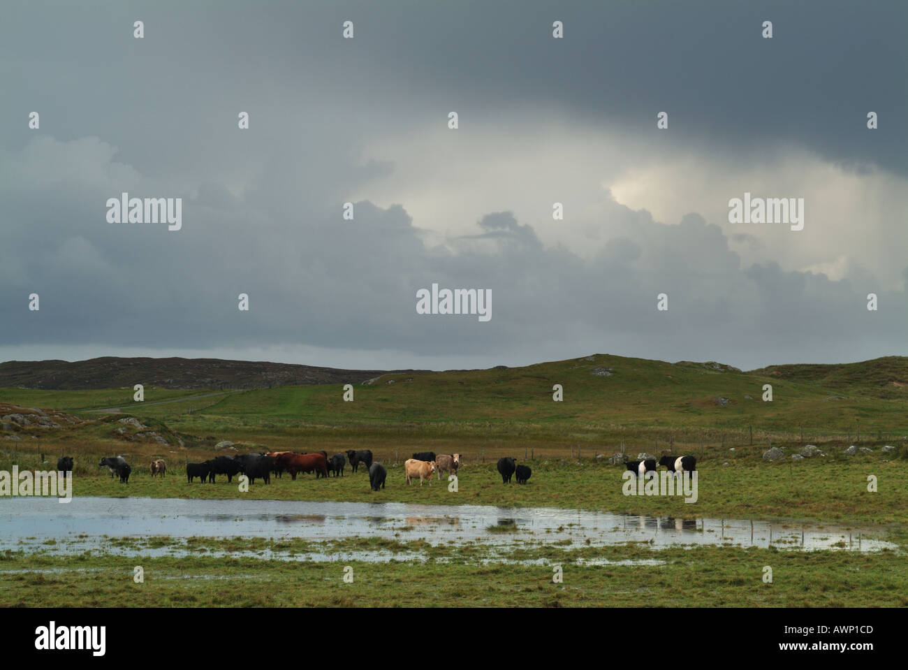 Coll weather hi-res stock photography and images - Alamy