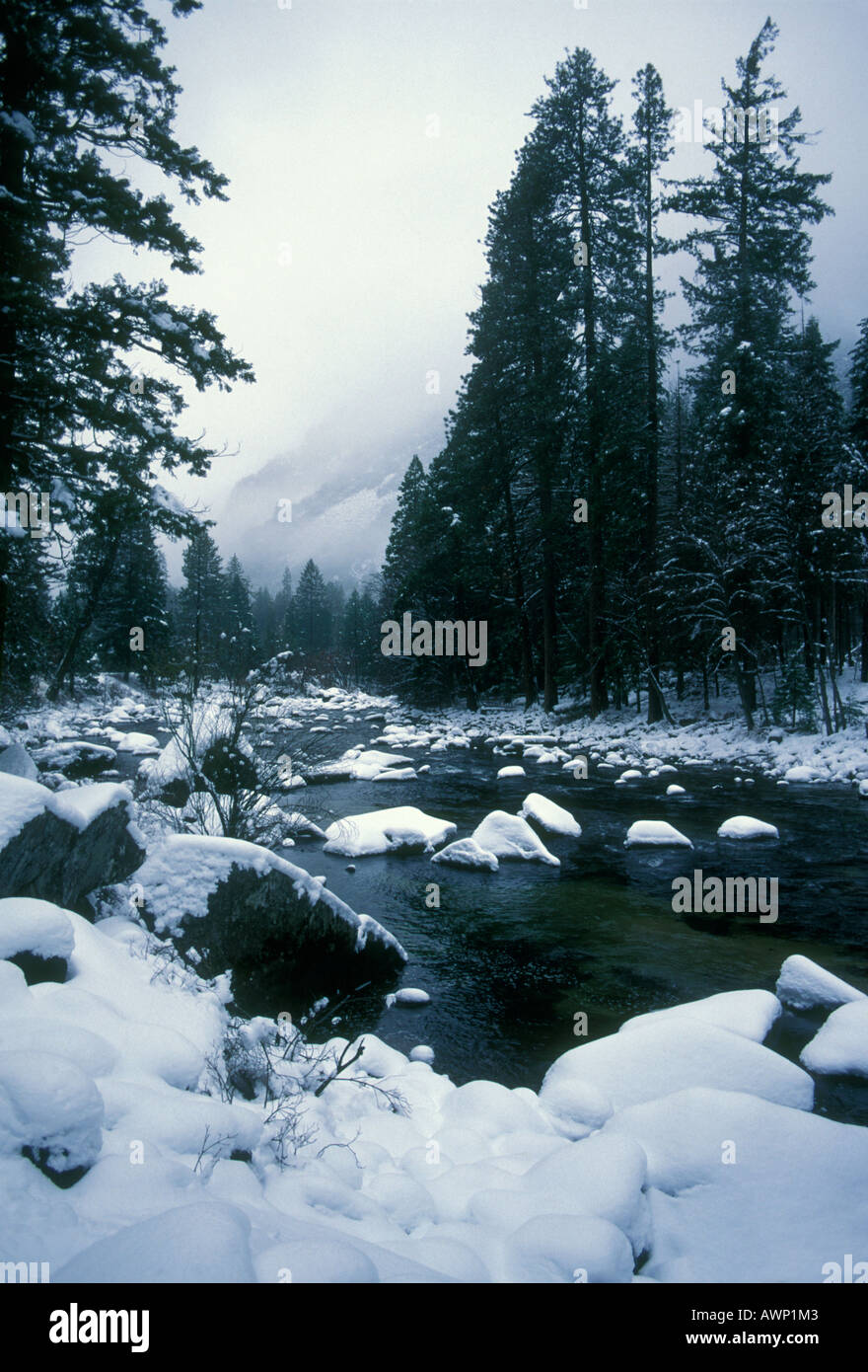 winter landscape Merced River in Yosemite Valley in Yosemite National ...