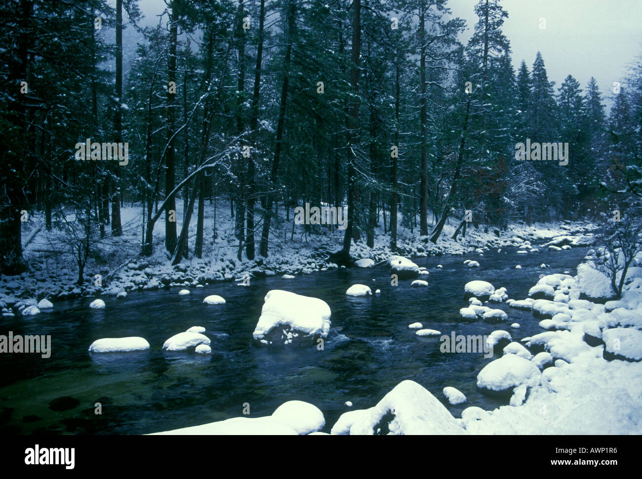 winter landscape Merced River in Yosemite Valley in Yosemite National ...