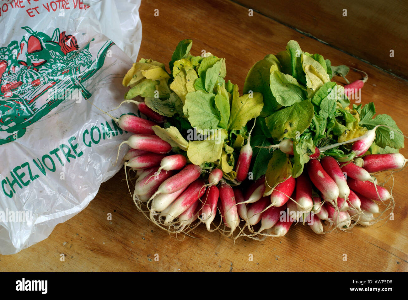 Chest bag hi-res stock photography and images - Alamy