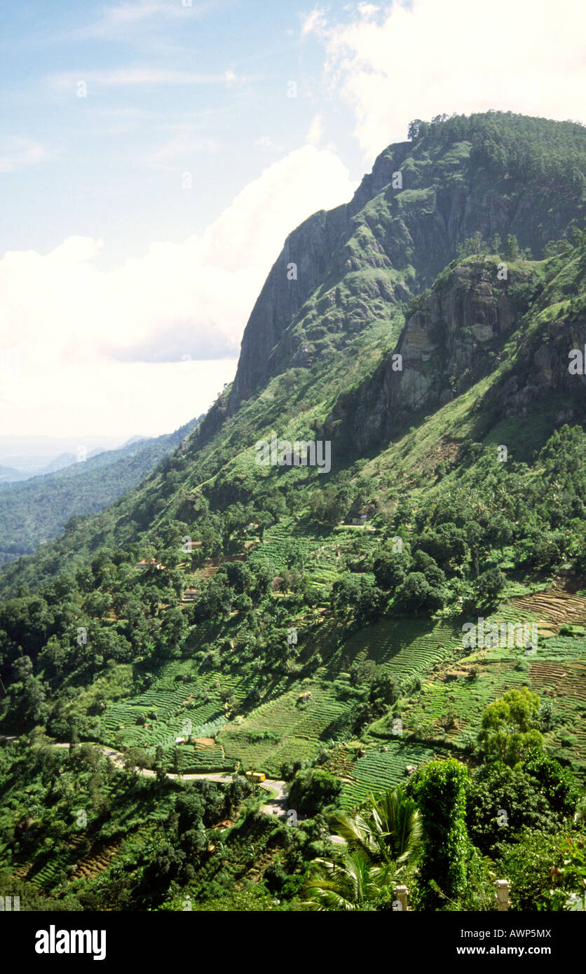 Sri Lanka Ella view of coastal plain from the Rest House Stock Photo ...