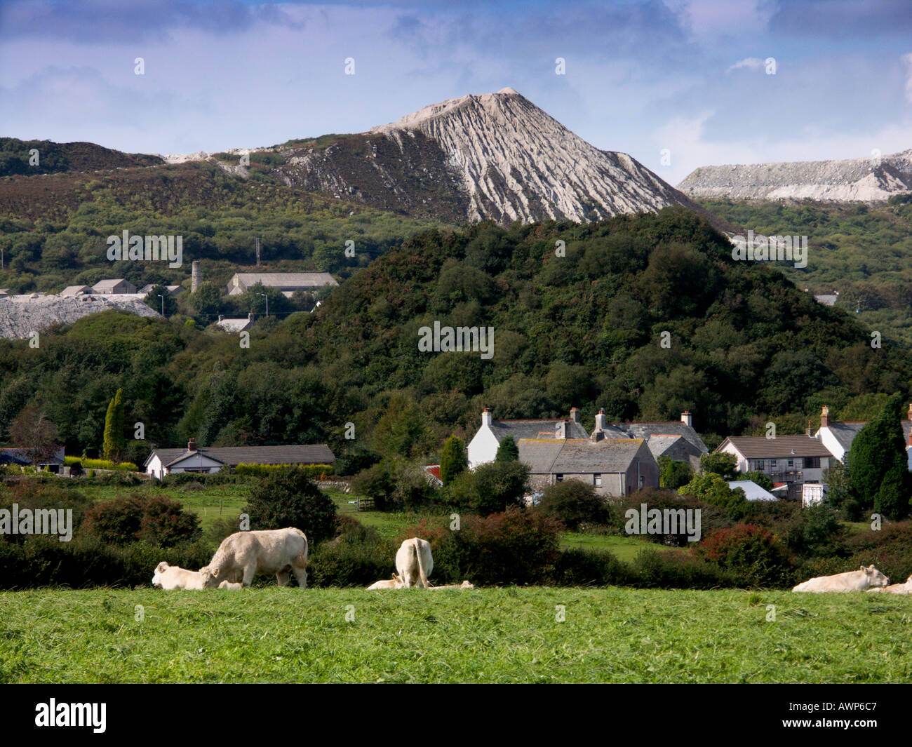 A clay tip in Cornwall being reclaimed by nature Stock Photo - Alamy
